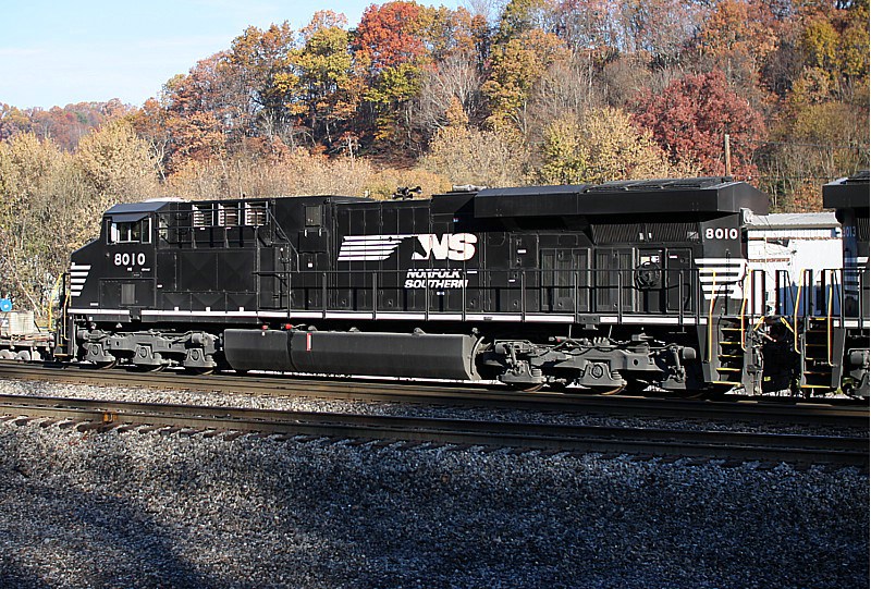 NS 8010